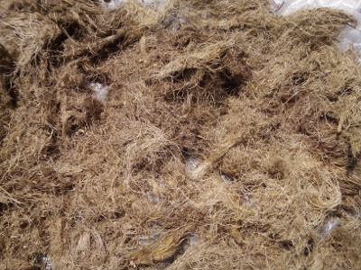 Oil Palm Fibre – Hoong Chan