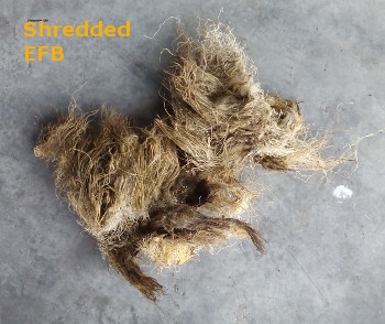 Shredded EFB Fibre – Hoong Chan